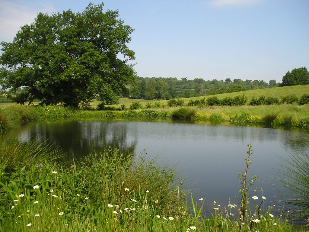 Farm Gallery - Bower Hill Farm